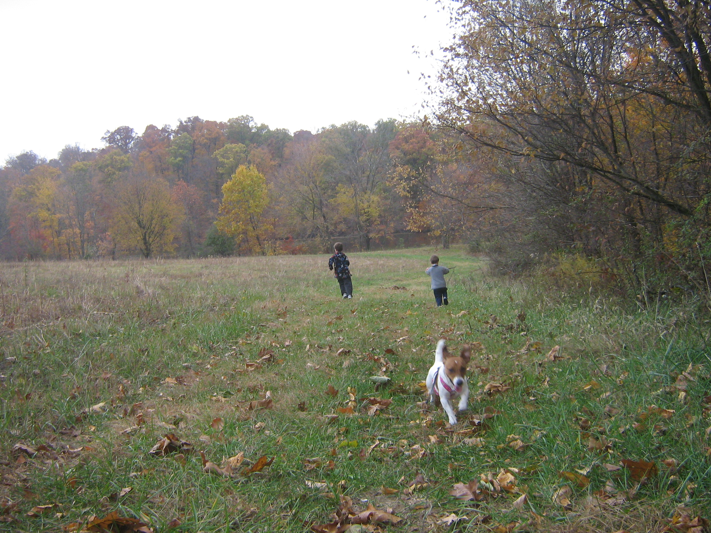 The best dog in the world – Planet Tash